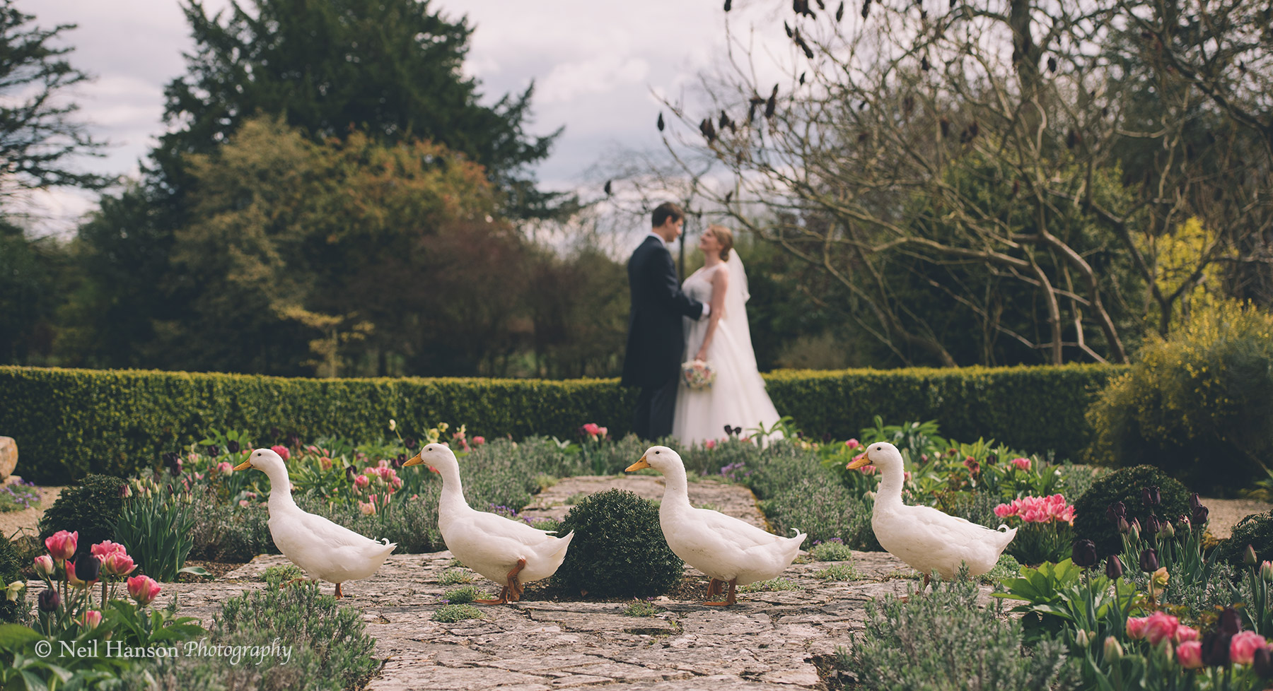 Neil Hanson Photography | Wedding Photographer Oxfordshire