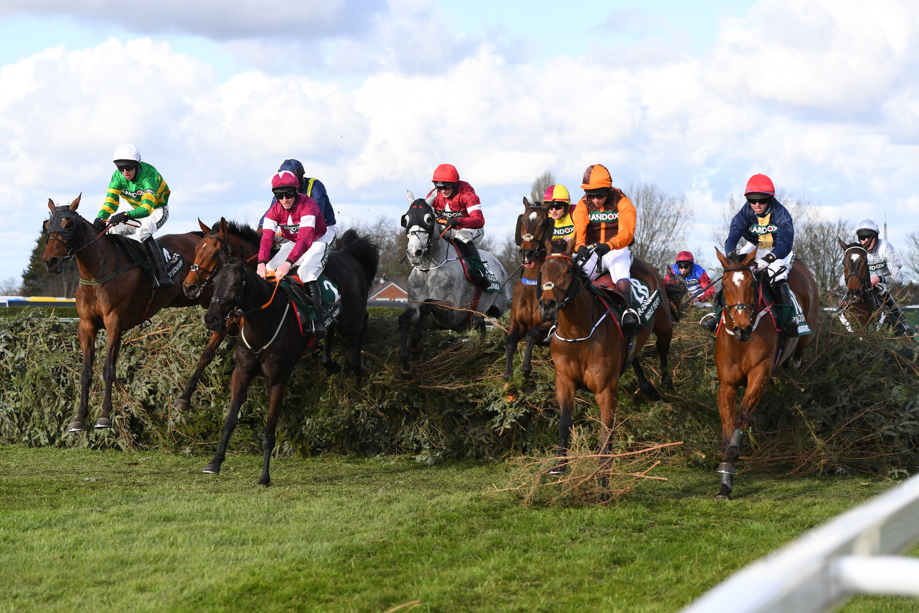 Official Photographers