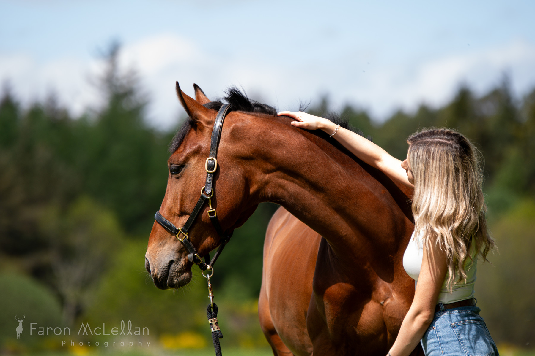 Faron McLellan Photography