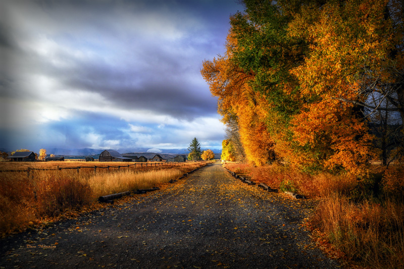 Thompson Photography