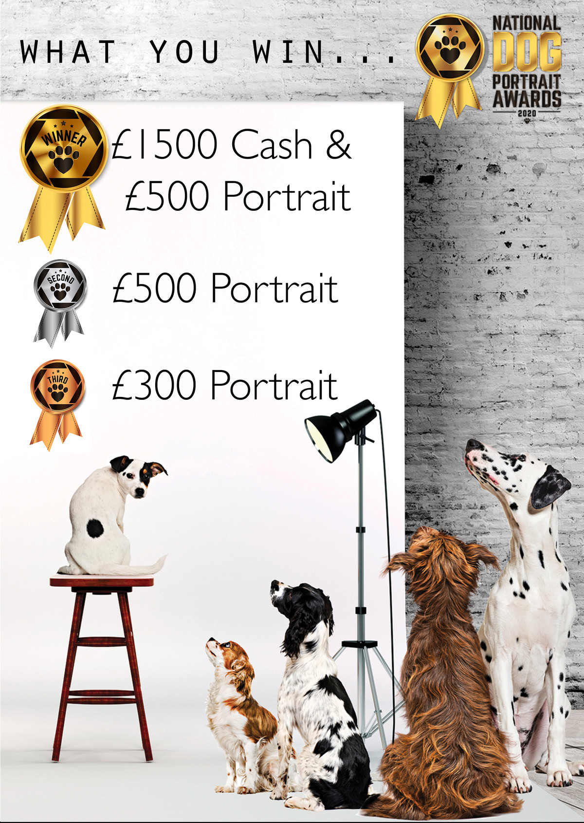 National Dog portrait competition