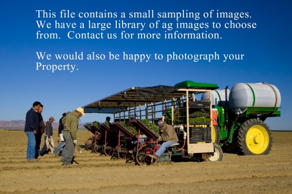 Captivating Photos - Galleries