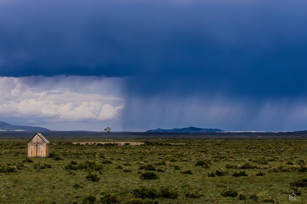 Stunning Equine-Event-Portrait-Landscape Photography in East Texas