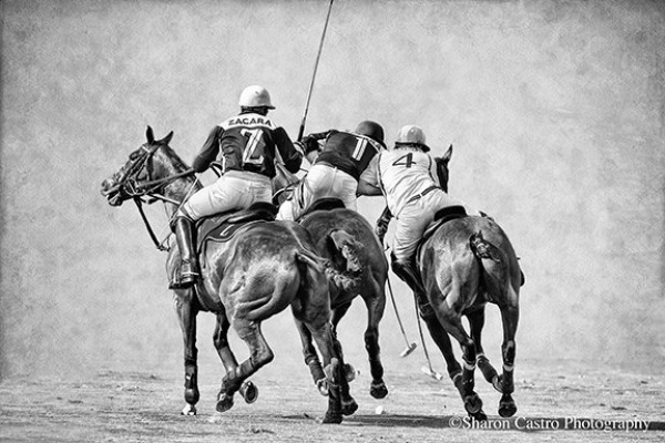 Sharon Castro Photography and Digital Fine Art