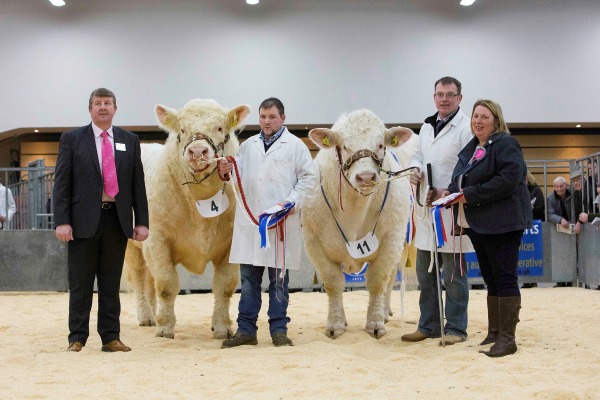 Anne MacPherson Photography