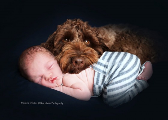 Nice Choice Photography