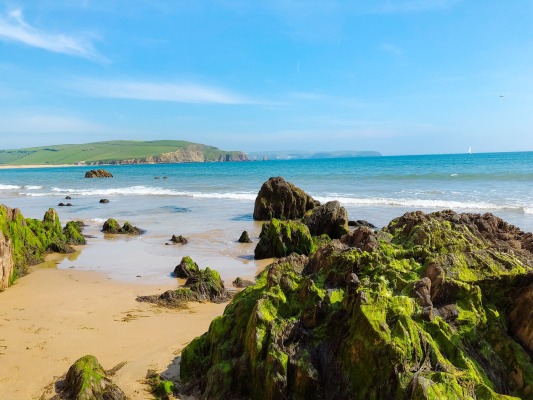 Bryony Glass Photography